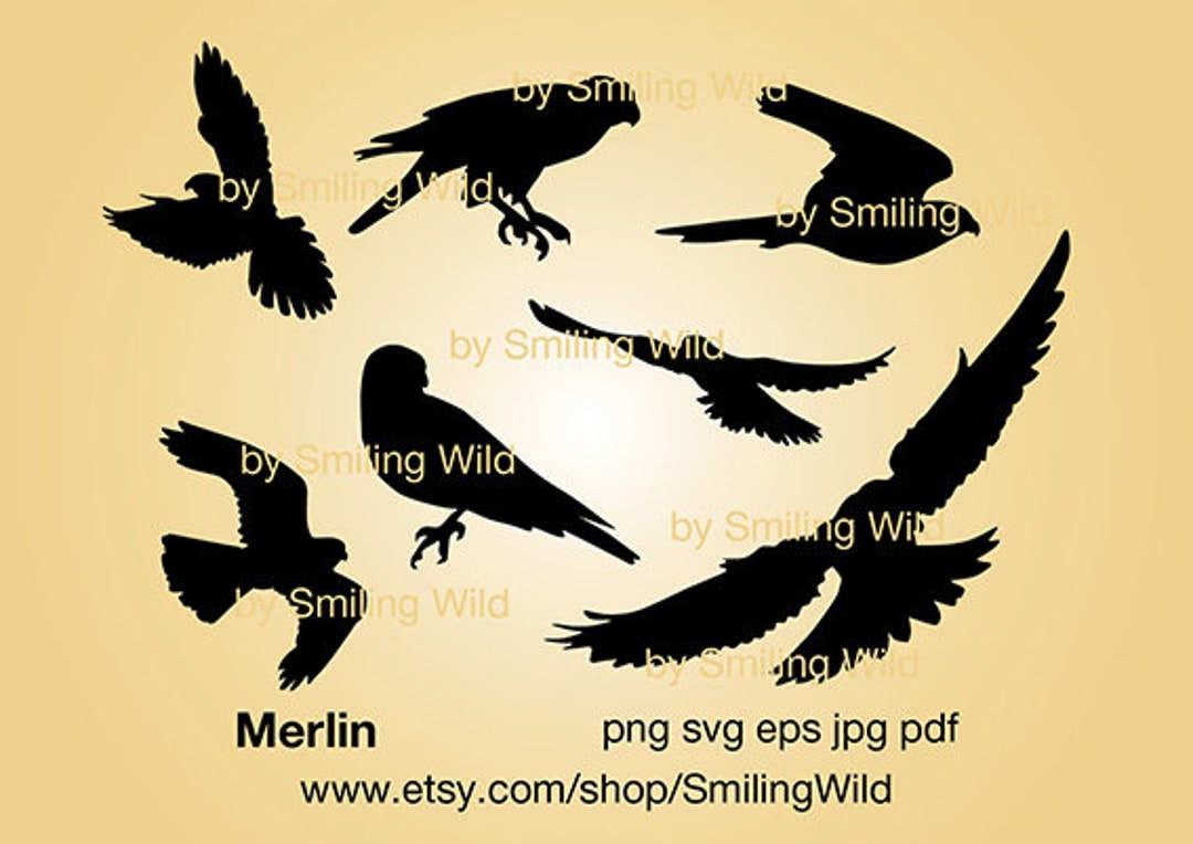 Merlin Silhouette Svg Cut File Falcon Flying Bird Clipart - Etsy