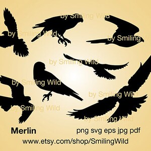Merlin Silhouette Svg Cut File Falcon Flying Bird Clipart - Etsy