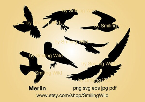 Bird SVG Bundle Birds SVG SVG Files for Cricut Instant - Etsy Canada