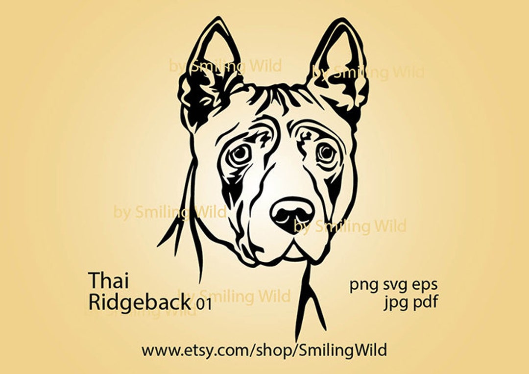 Can A Thai Ridgeback Live In Indonesia