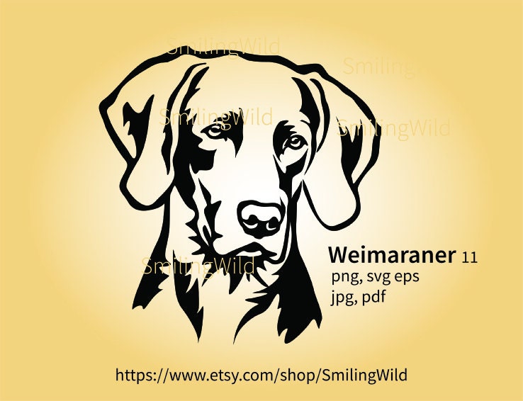 Weimaraner Svg Vector Graphic Art Clipart Pet Artwork Dog - Etsy