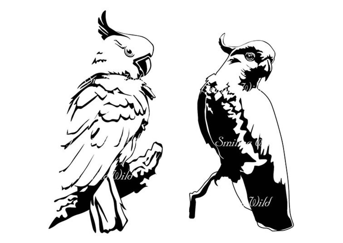 Cockatoo svg clipart design art cut file cricut printable | Etsy