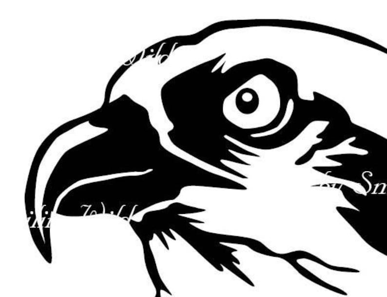Osprey Svg Sea Hawk Clipart Art Bird of Prey Vector Graphic | Etsy