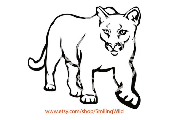Mountain Lion Clipart