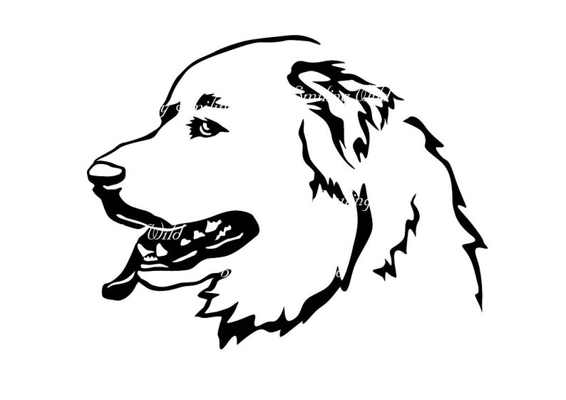 Great Pyrenees Vector Graphic Art Dog Portrait Svg Pyrenean - Etsy
