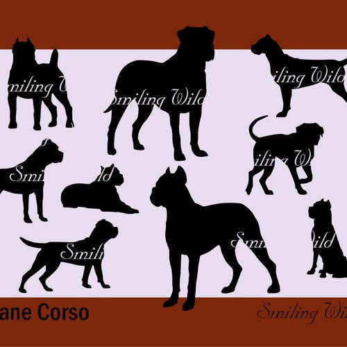Cane Corso Vector Graphic Art Printable Png Svg Design Drawing - Etsy