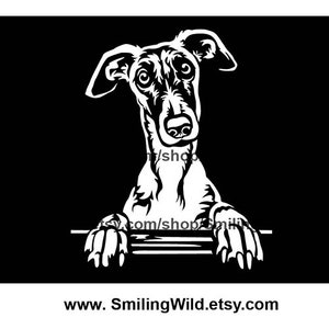 Galgo Svg Portrait White Vector Graphic Cut File, Peeking Galgo Dog ...