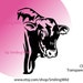 Beefmaster Bull Svg Cattle Clip Art, Beefmaster Head Cut File Vector ...