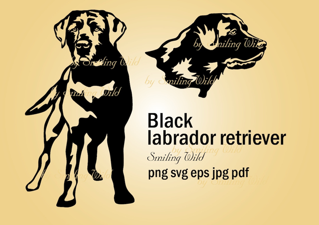 Black Lab Svg Png Clipart, Labrador Retriever Dog Vector Graphic Art ...