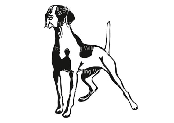 Dog Pointer Clipart