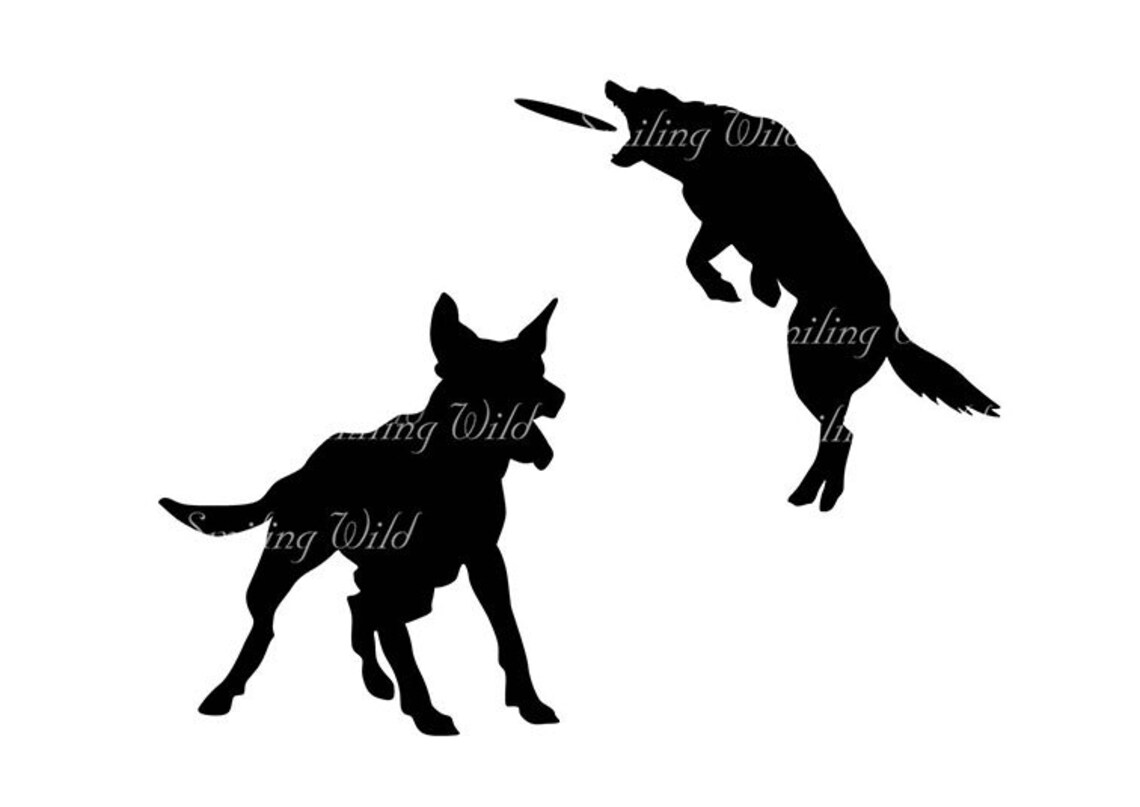 Dog Training Svg Png Art Vector Graphic Dog Training Dressage | Etsy