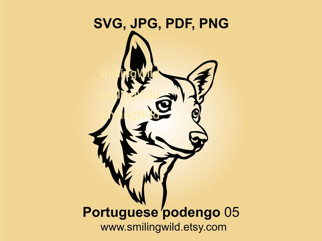 Portuguese Smooth Podengo SVG, PNG Clip Art – Unique Pet Portrait ...