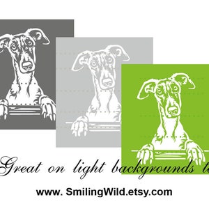 Galgo Svg Portrait White Vector Graphic Cut File, Peeking Galgo Dog ...