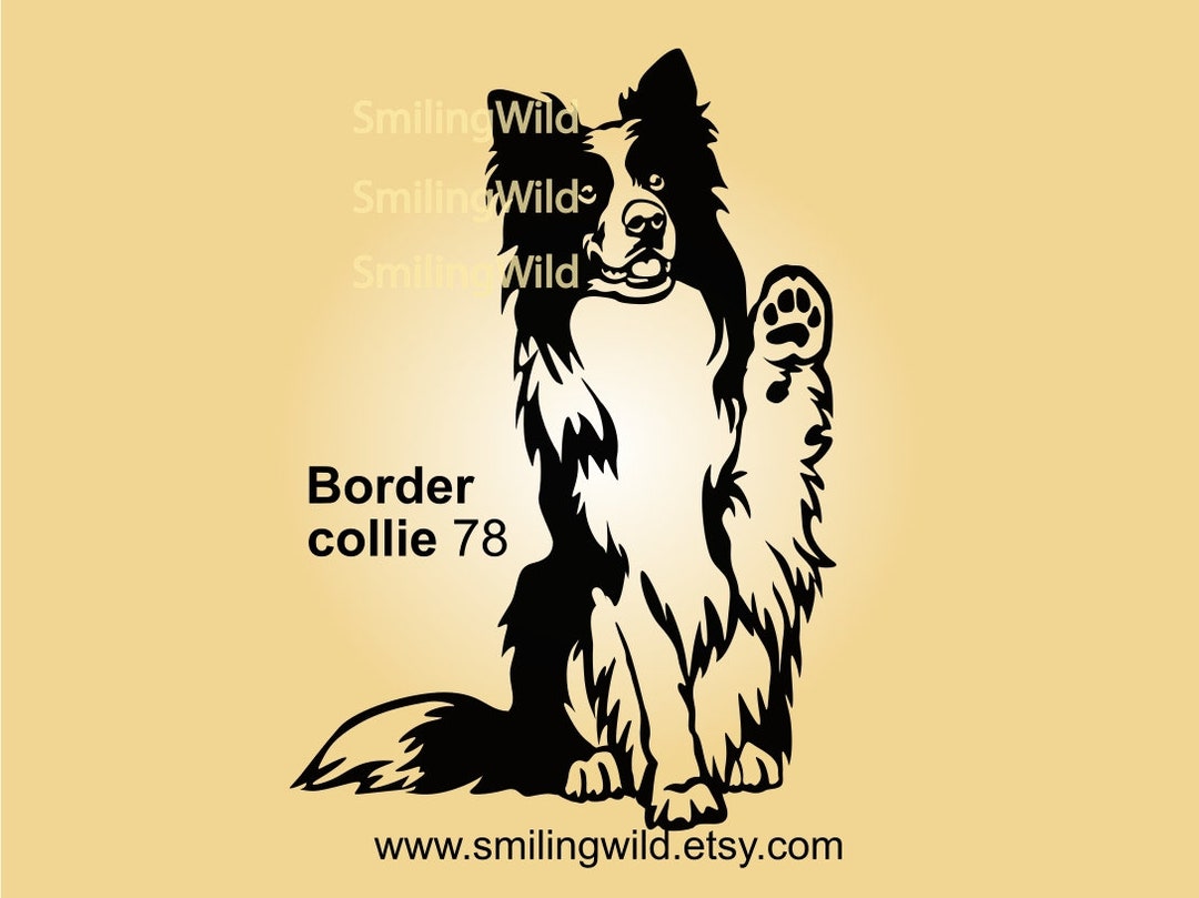 Sitting Border Collie Dog SVG, PNG, DXF Clipart - Cricut and Laser ...