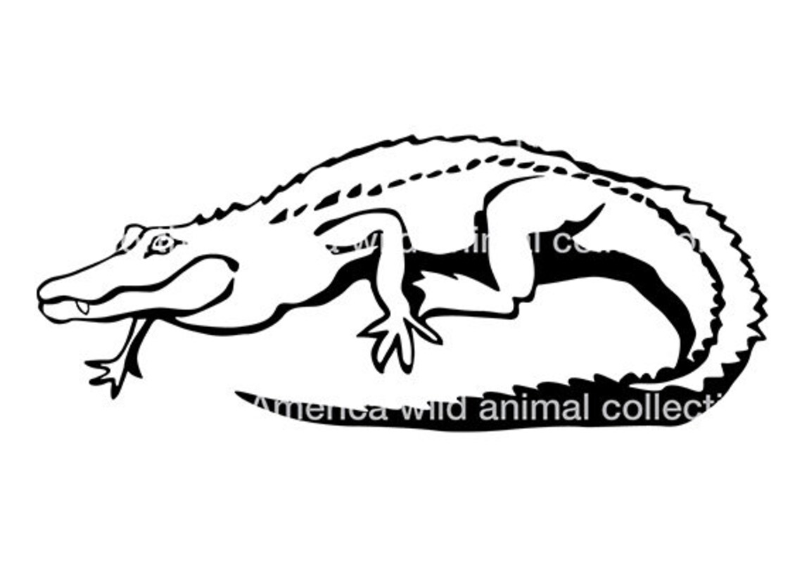 American Alligator Svg Clipart Vector Graphic File Art Artwork | Etsy