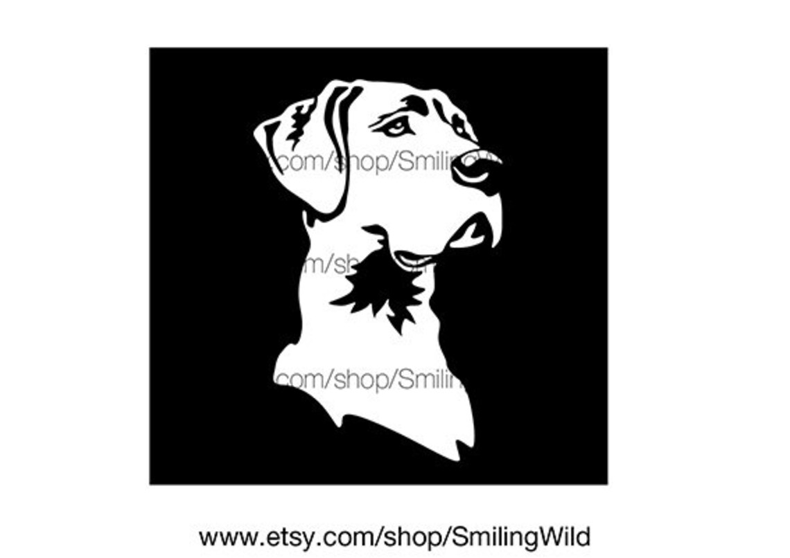 Great Dane Svg White Clipart Vector Graphic Art Great Dane Dog - Etsy
