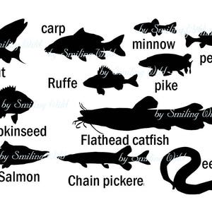 Fishes Freshwater River Svg Clipart Fish Silhouettes Print Eel - Etsy ...