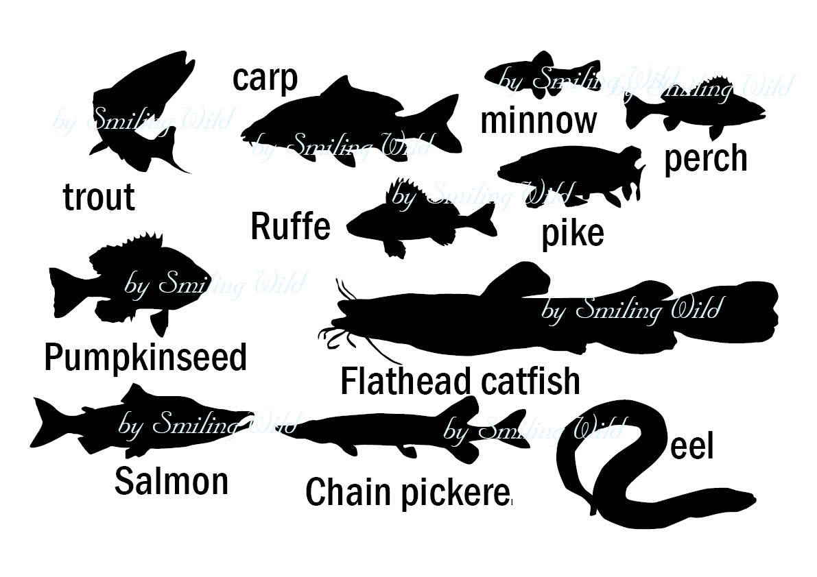 Fishes freshwater river svg clipart fish silhouettes print eel | Etsy