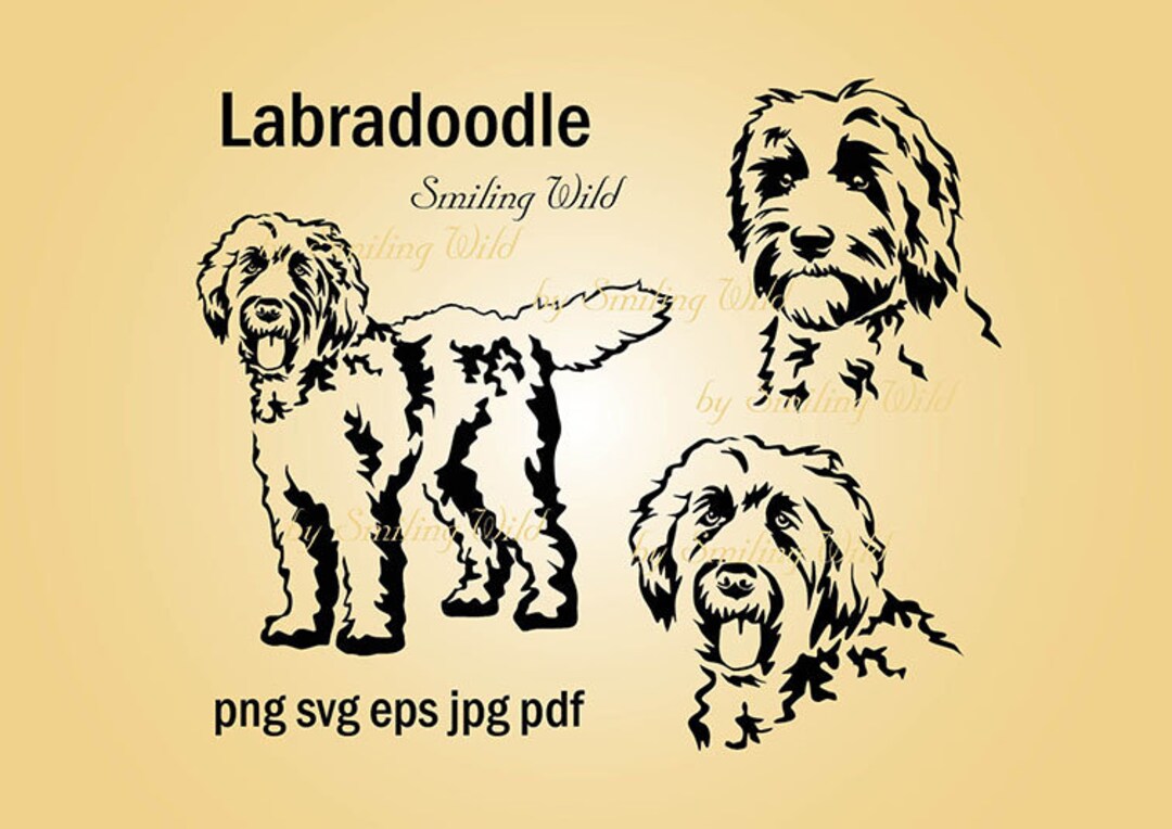 Dog Png Labradoodle Svg Vector Graphic Art Labradoodle Png Clipart ...
