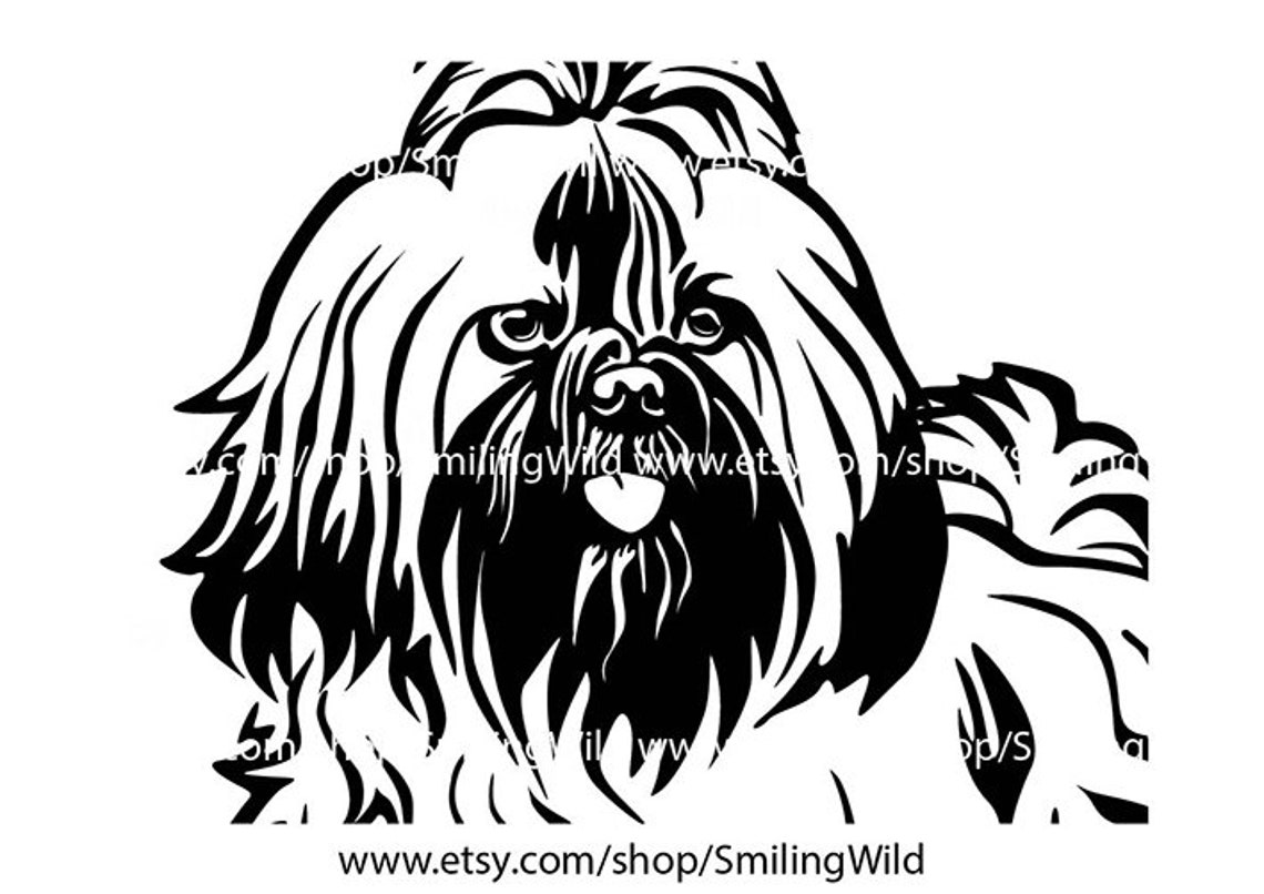 Shih Tzu Svg Vector Art Dog Portrait Cut File Cuttable Graphic - Etsy