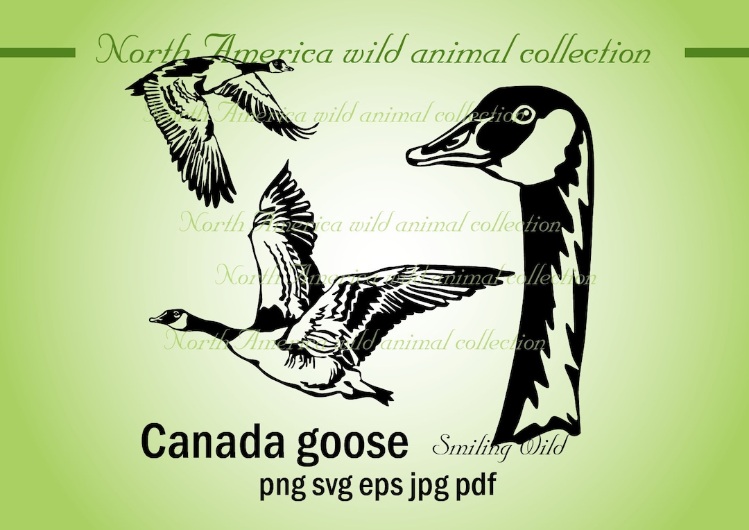 Canada Goose Svg Clipart Vector Graphic Art Artwork Canada Goose Geese ...