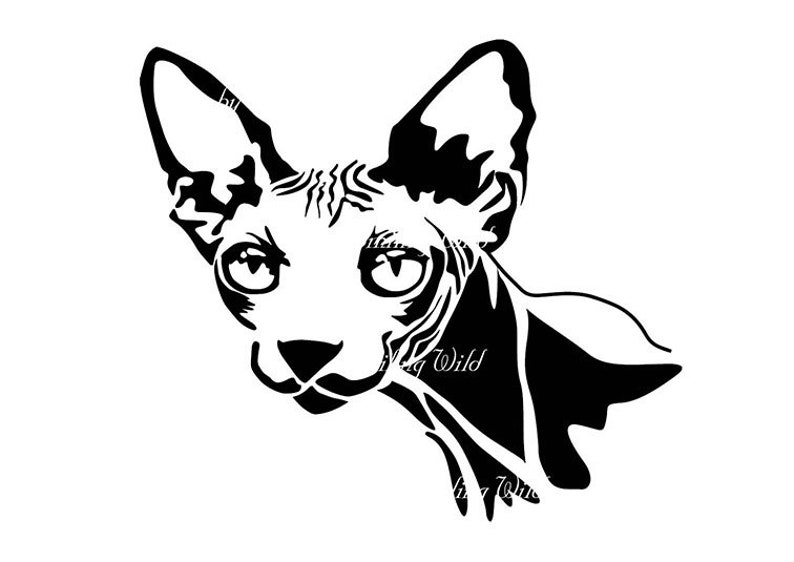 Sphynx Cat Design Art Svg Png Sphynx Cat Silhouette Vector - Etsy