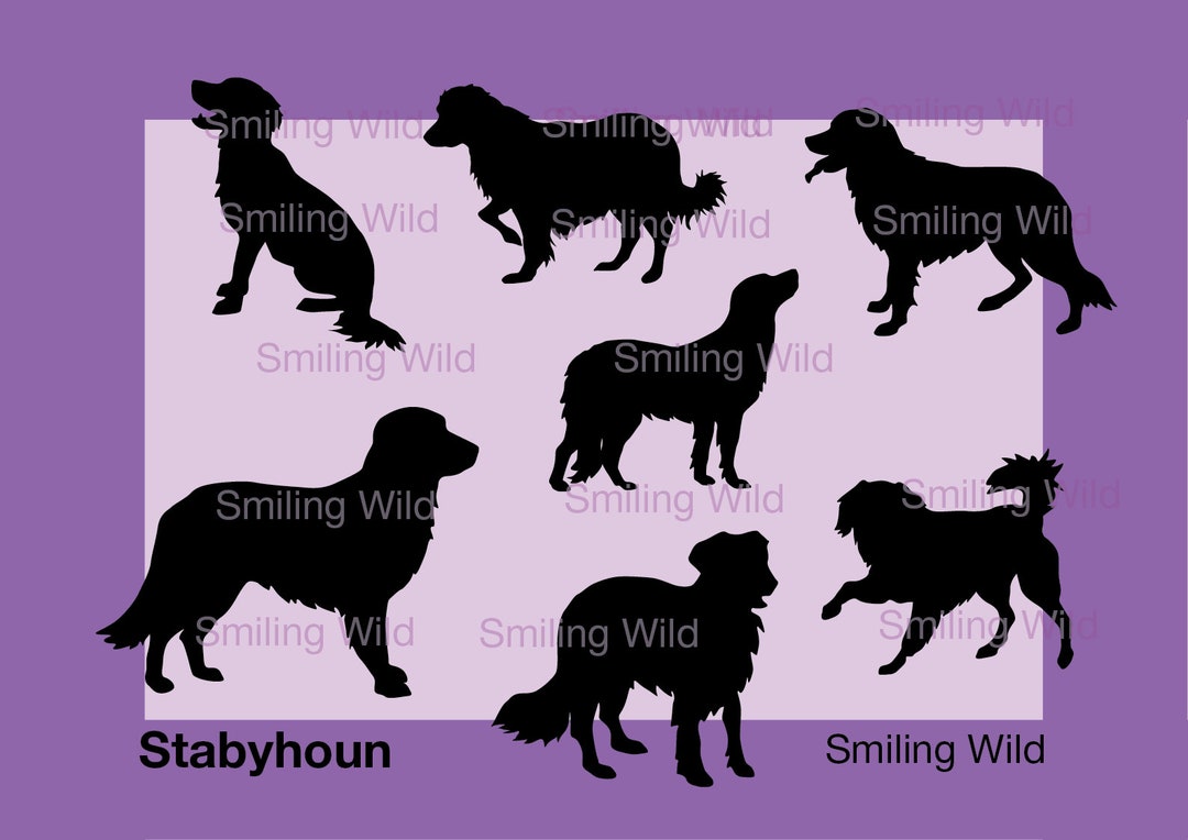 Stabyhoun Silhouette Svg Frisian Pointer Clipart Vector - Etsy