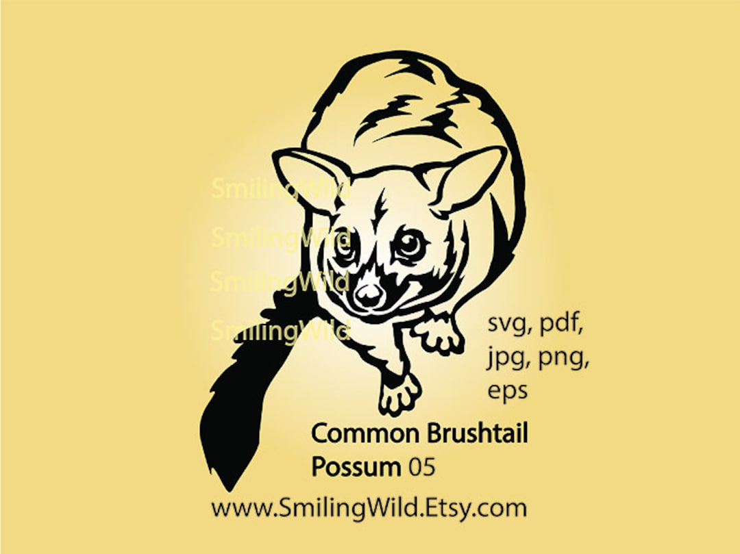 Common Brushtail Possum Svg Australian Animal Cuttable Clip - Etsy