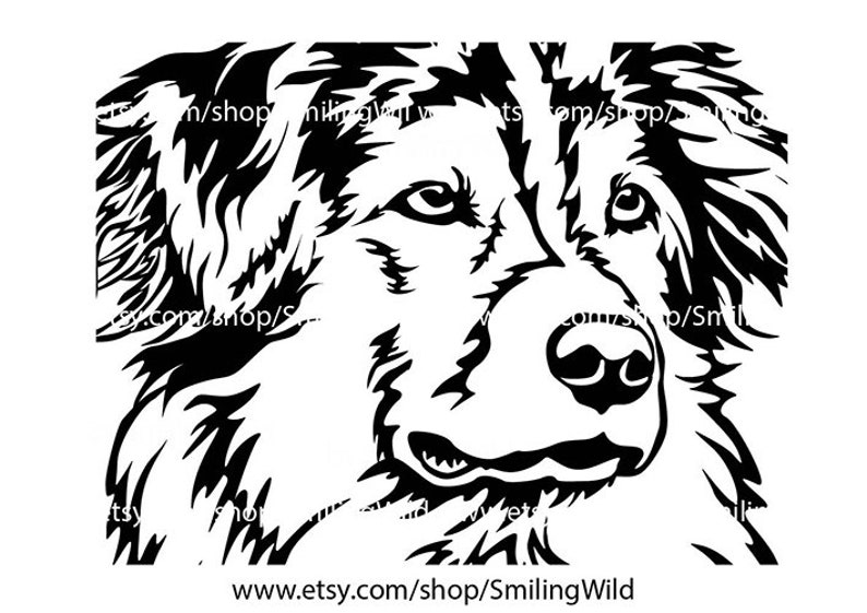 Aussie Svg Dog Head Vector Graphic Art Australian Shepherd - Etsy