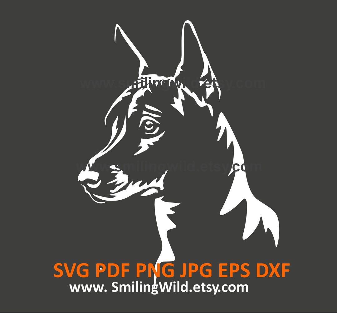 Xolo SVG, PNG, DXF – Realistic Mexican Hairles Dog White Canine Vector ...
