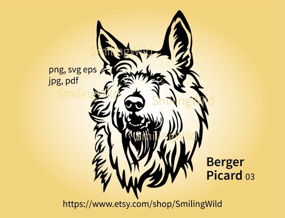 Berger Picard Svg Dog Head Vector Illustration Berger De | Etsy