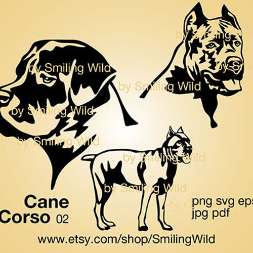 Cane Corso Vector Graphic Art Printable Png Svg Design Drawing - Etsy