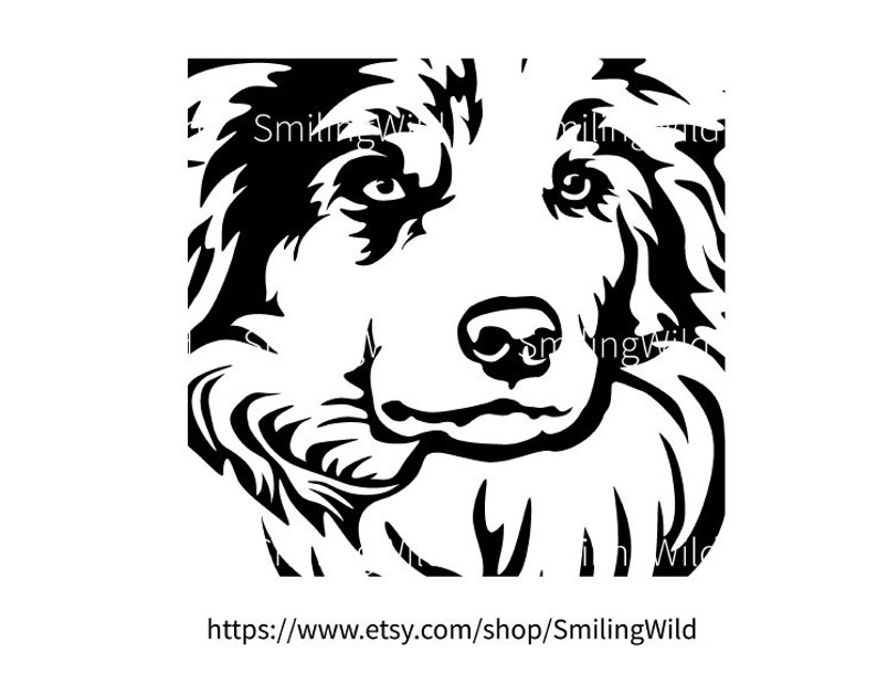 Merle Border Collie Svg Face Dog Vector Graphic Illustration - Etsy