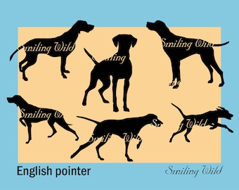 English Pointer Svg | Etsy