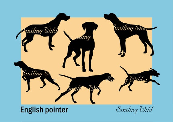 English Pointer Svg Silhouette Png Clipart Cutout File English | Etsy ...