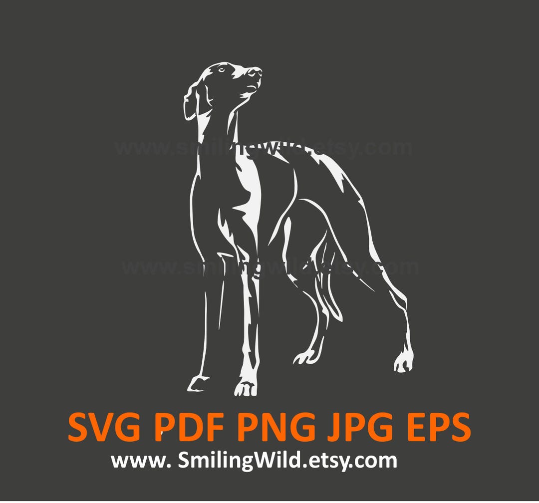Whippet Svg Png Dog Vector Graphic Art Whippet Sighthound Svg Clipart ...