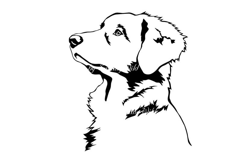 Toller Dog Svg Clipart Vector Graphic Art Png Nova Scotia Duck - Etsy ...