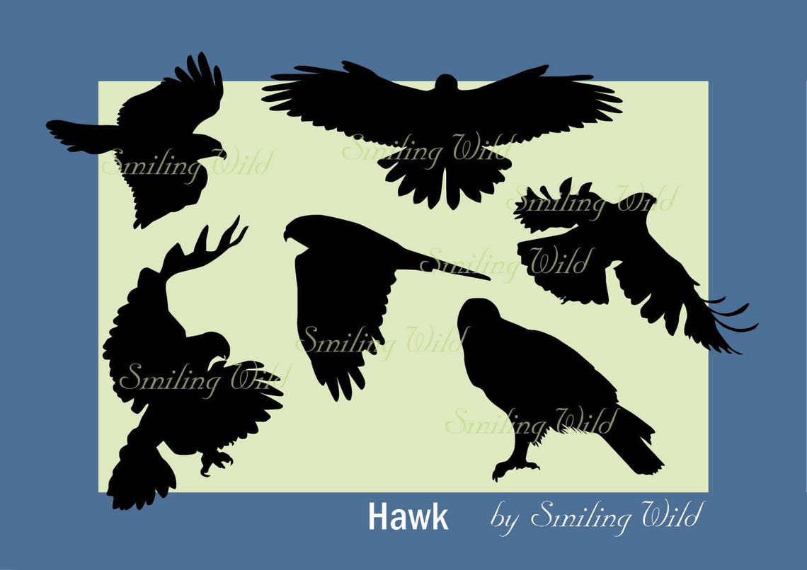 Hawk Silhouette Svg Clipart American Hawk Cutout Printable | Etsy