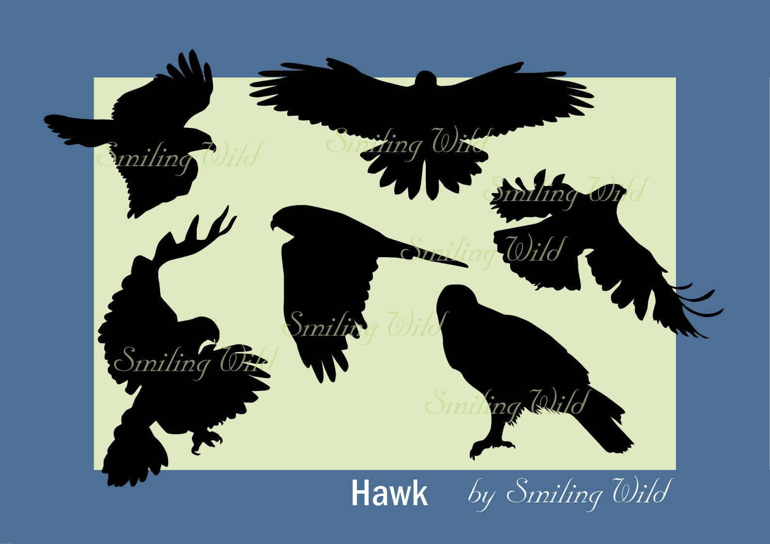 Hawk Silhouette Svg Clipart American Hawk Cutout Printable Bird Falk ...