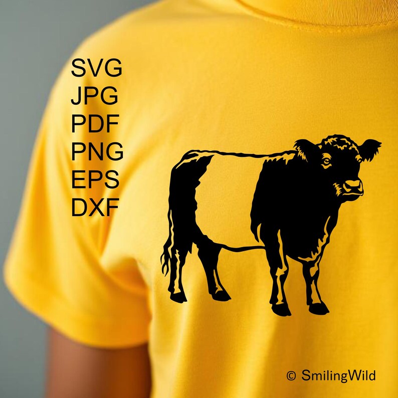 Belted Galloway Cattle SVG PNG DXF – Cow Cuttable Vector Clipart ...