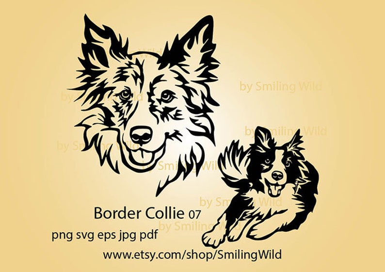 Border Collie Svg Portrait Dog Vector Graphic Art Merle Border | Etsy