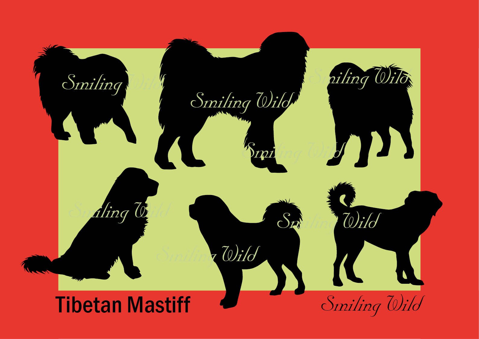 Blue Fire Tibetan Mastiff