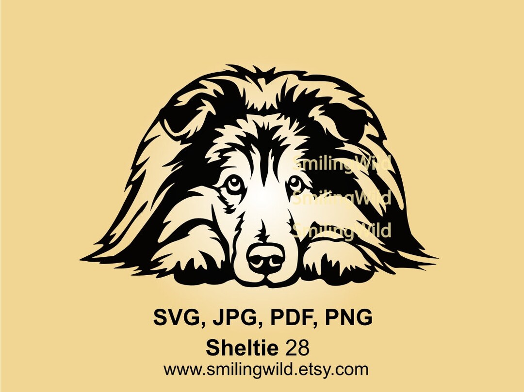 Peeking Sheltie Dog SVG & PNG, DXF – Realistic Shetland Sheepdog Vector ...