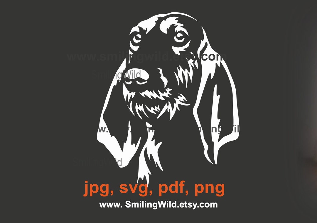 Wirehaired Segugio Italiano Svg Cuttable Vector Clip Art File - Etsy