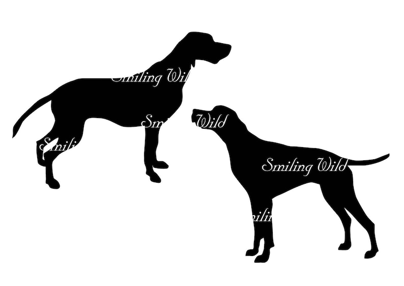 English Pointer Svg Silhouette Png Clipart Cutout File English - Etsy ...