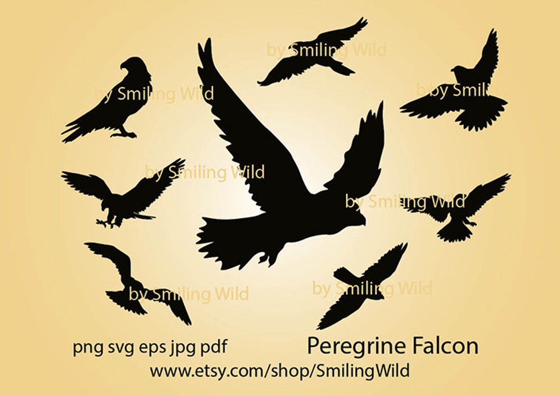 Peregrine Falcon Svg Silhouette Birds of Prey Vector Graphic | Etsy