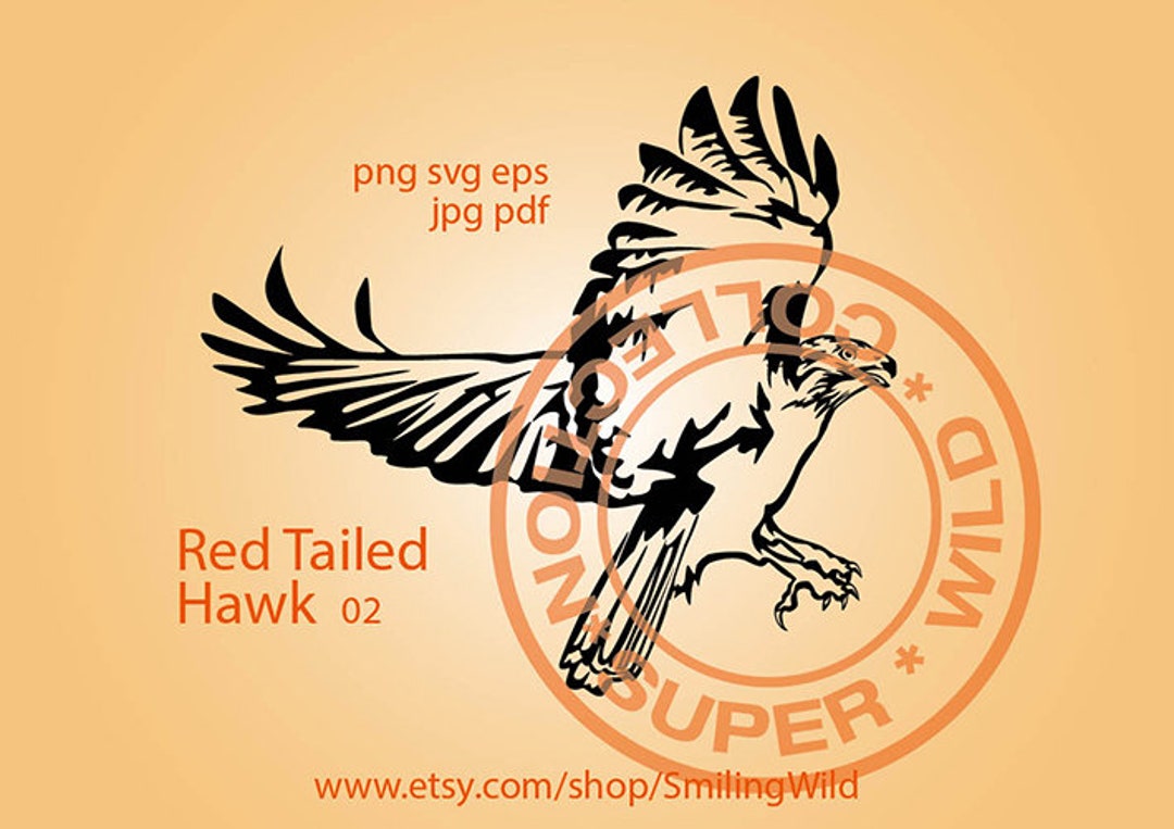 Red Tail Hawk Vector