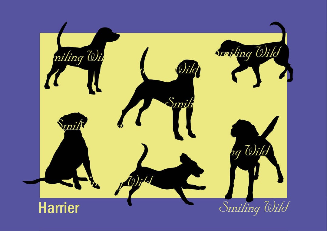 Harrier Dog Png Svg Silhouette Vector Graphic File Hound Clipart Vector ...