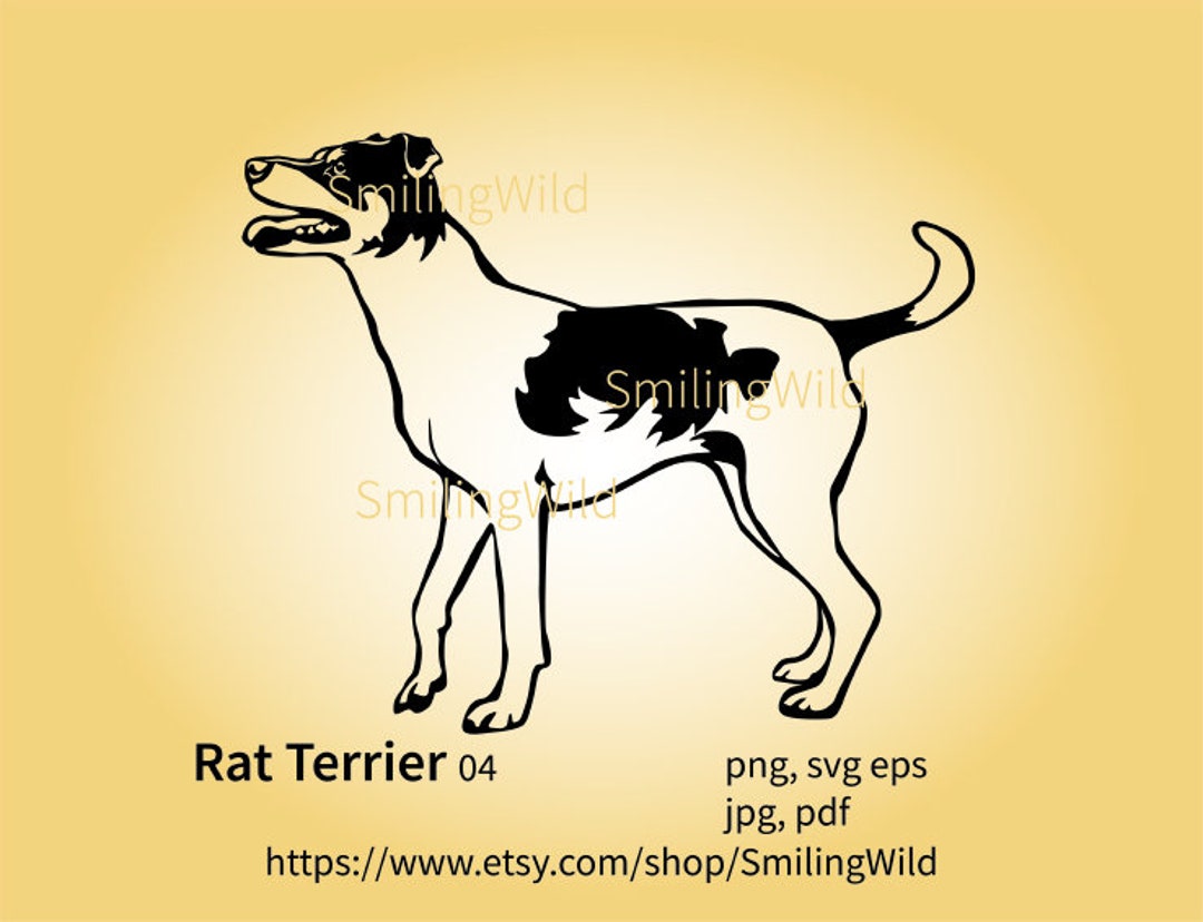 Rat Terrier Dog Svg Vector Graphic Clip Art Illustration Rat - Etsy