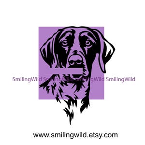 German Shorthaired Pointer SVG & PNG, DXF – Realistic Hunting Dog ...